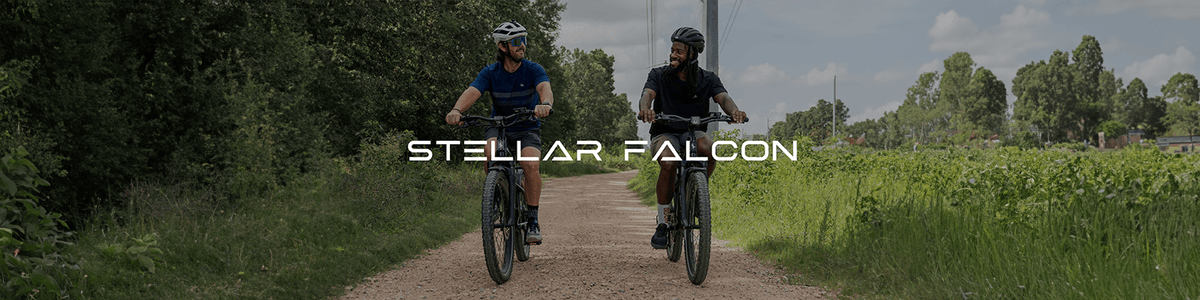 Stellar Falcon Ebike Review | CitizenCycle – euphree