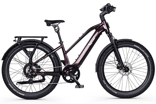 Stellar Falcon Series | Air Suspension & 750W Power | Euphree – euphree